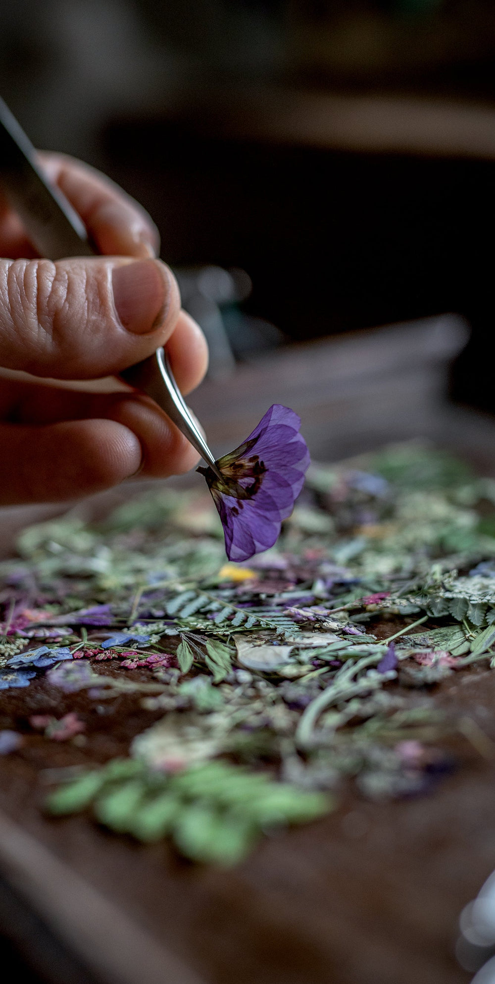 THE CREATIVES / CURATOR PAINTS - Curator Paints EU