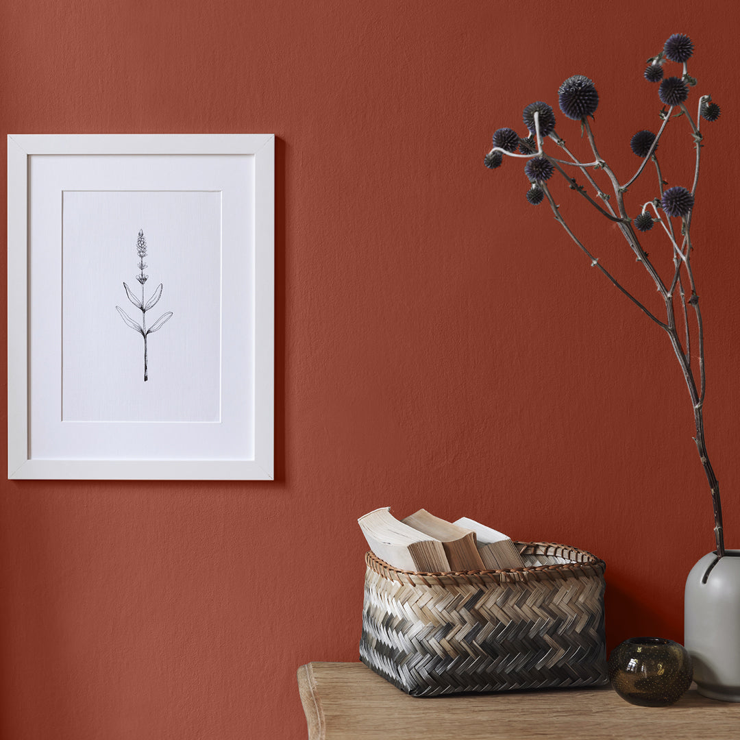 Chestnut Grain - Curator Paints EU