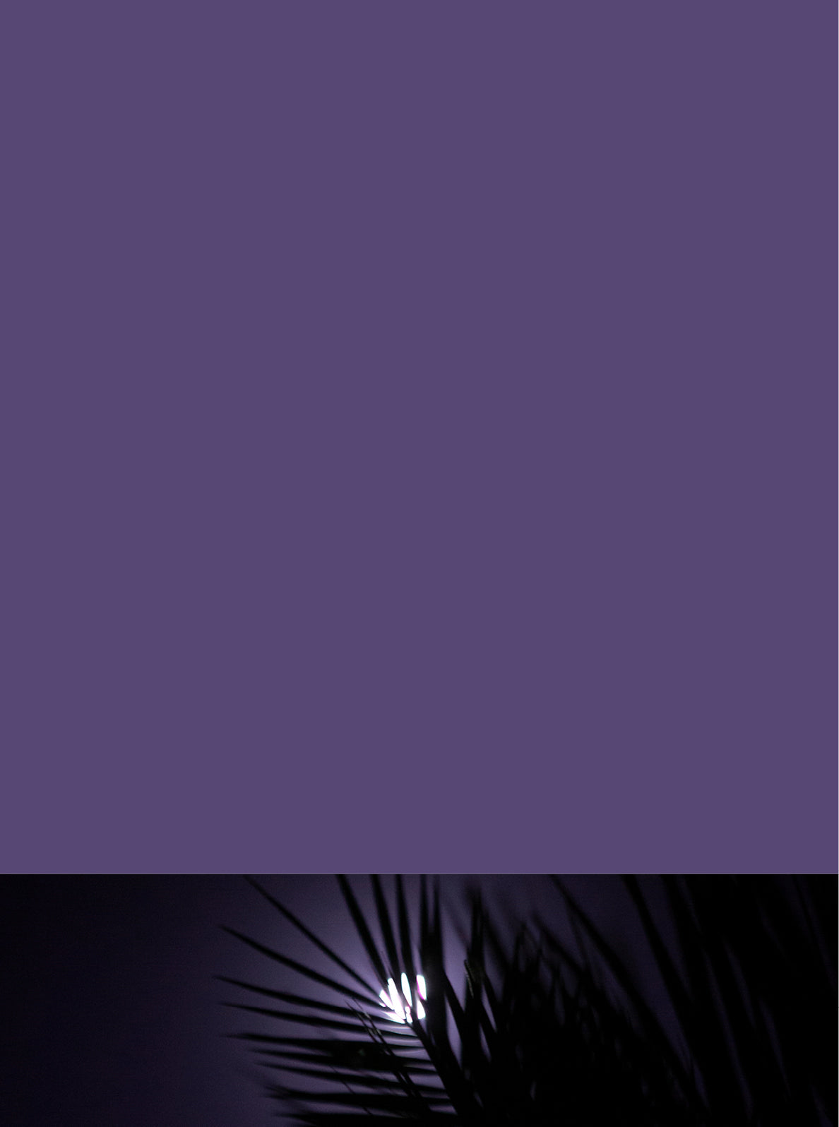 Curator Paints - Designer Interior & Exterior Paint Colours