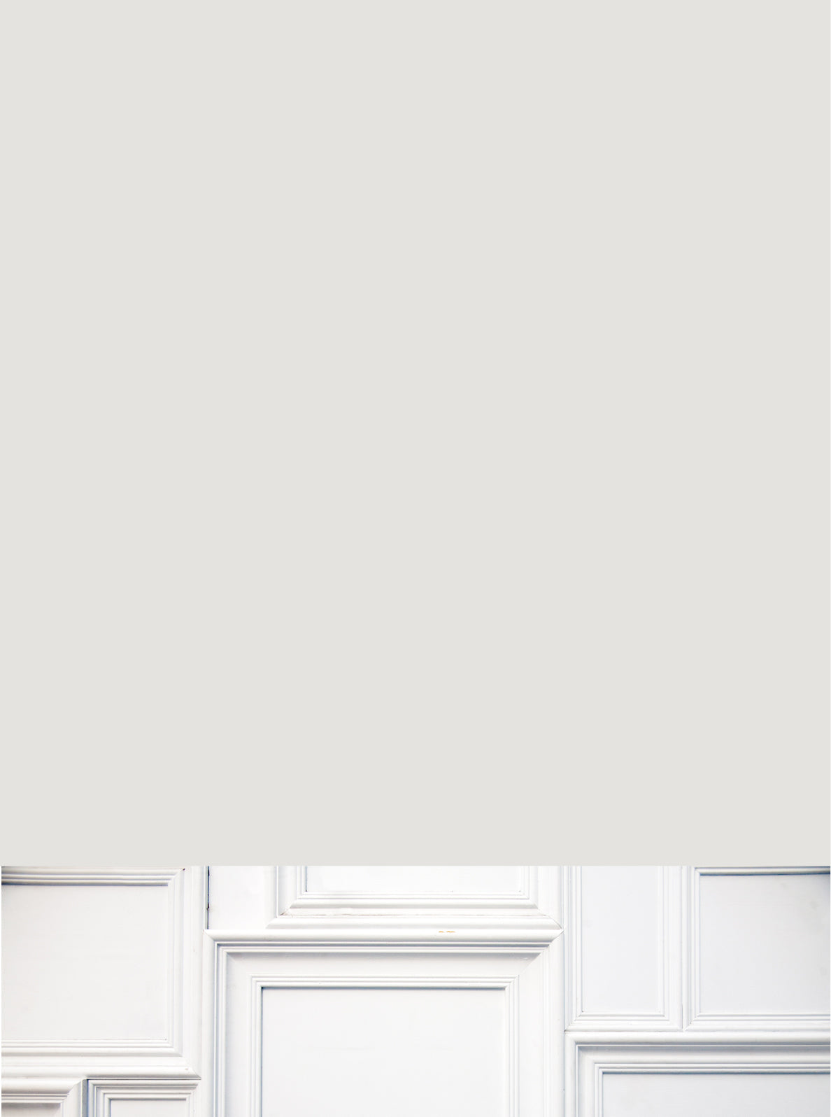 Statement - Curator Paints EU