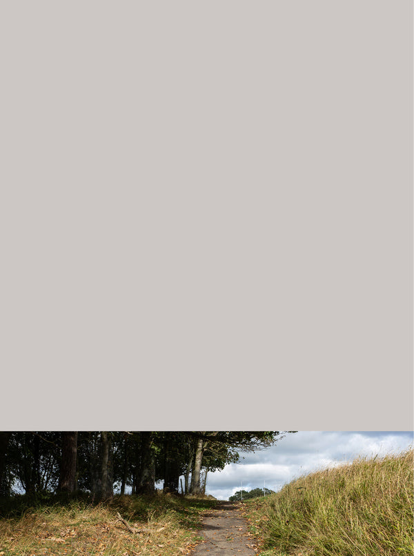 Hidden Trail - Curator Paints EU