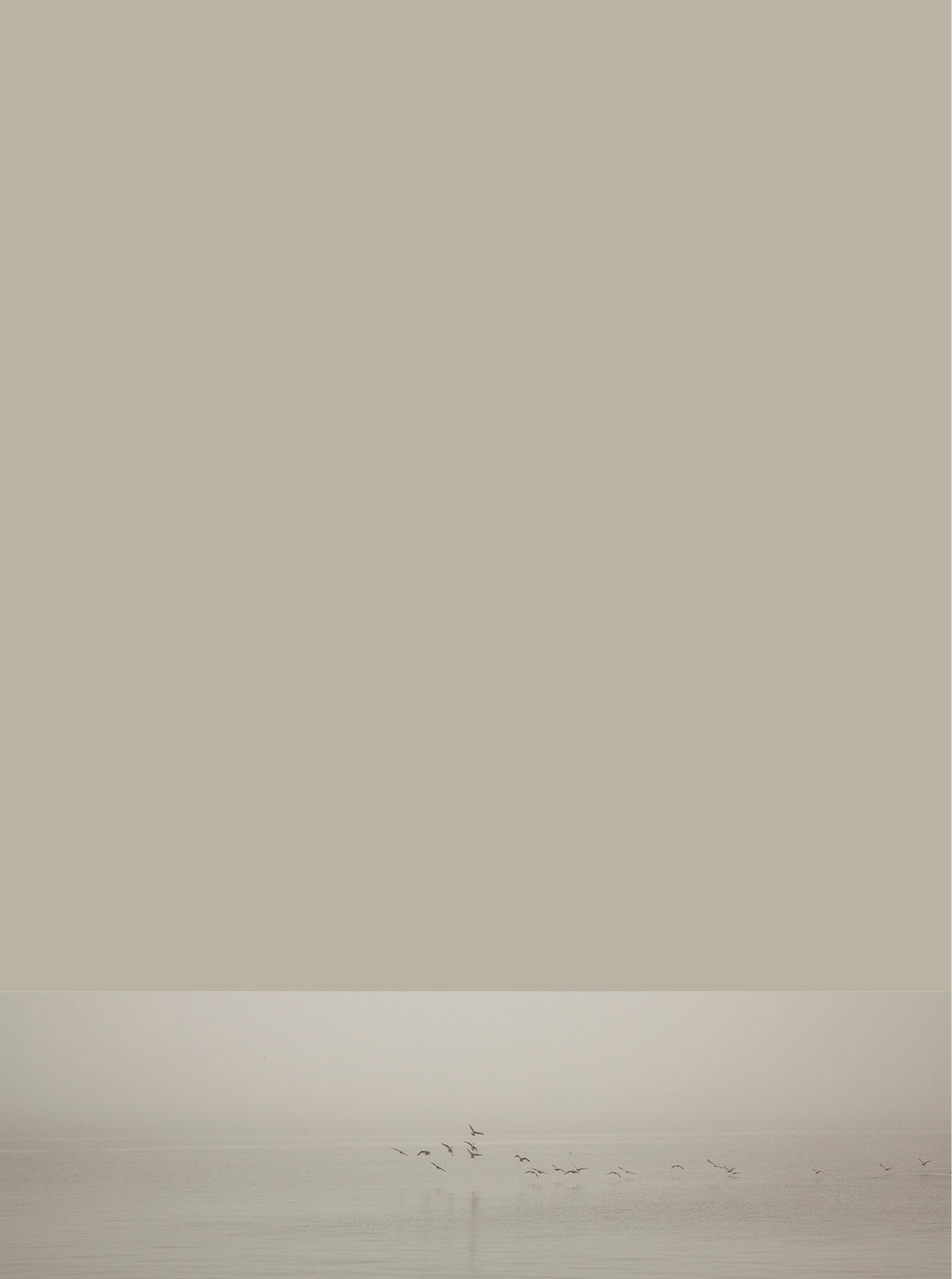 Dense Fog - Curator Paints EU