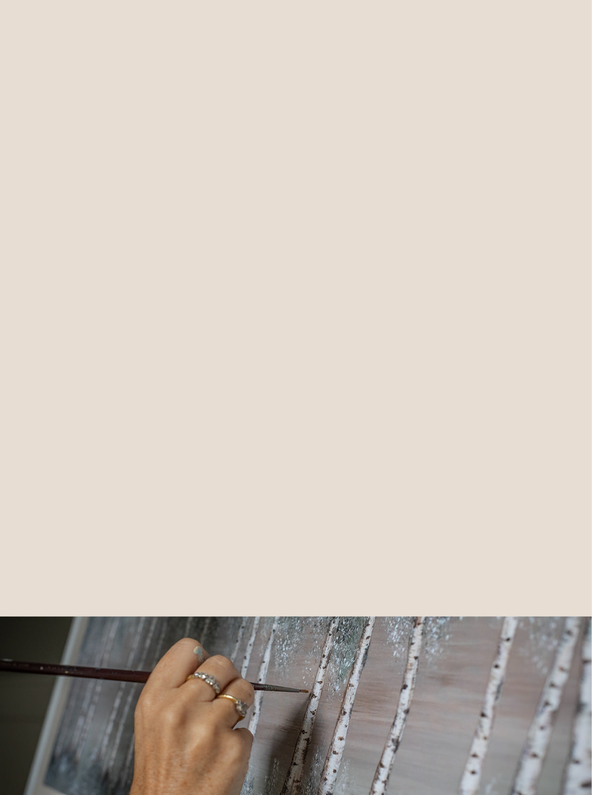 Woodland Light - Curator Paints EU