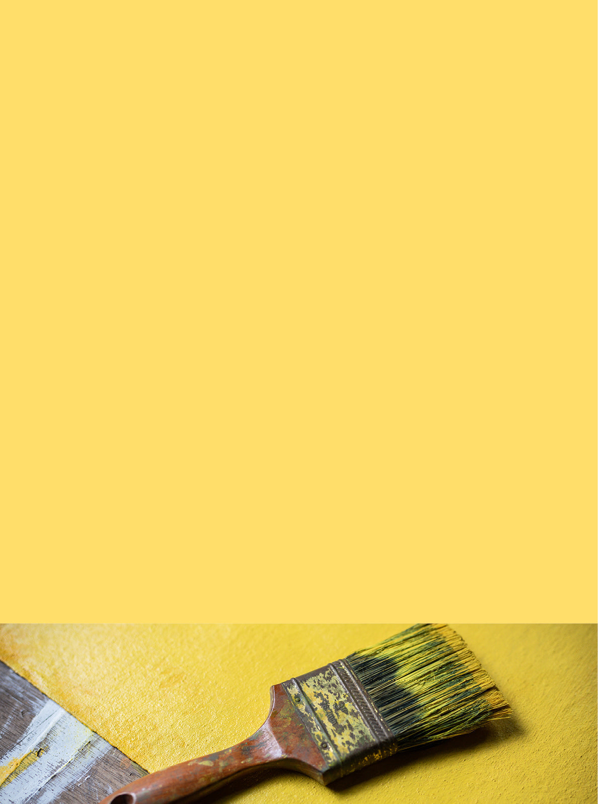 Dancing Light - Curator Paints EU